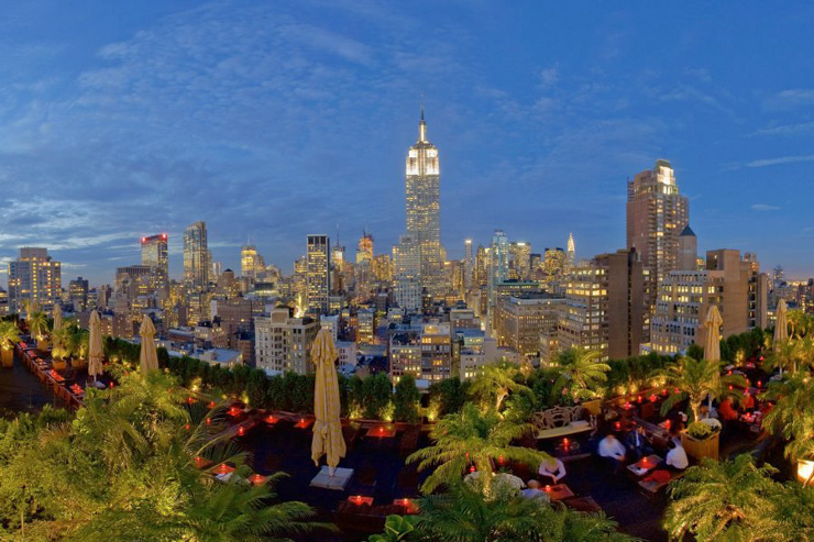 230 Fifth | YONDER