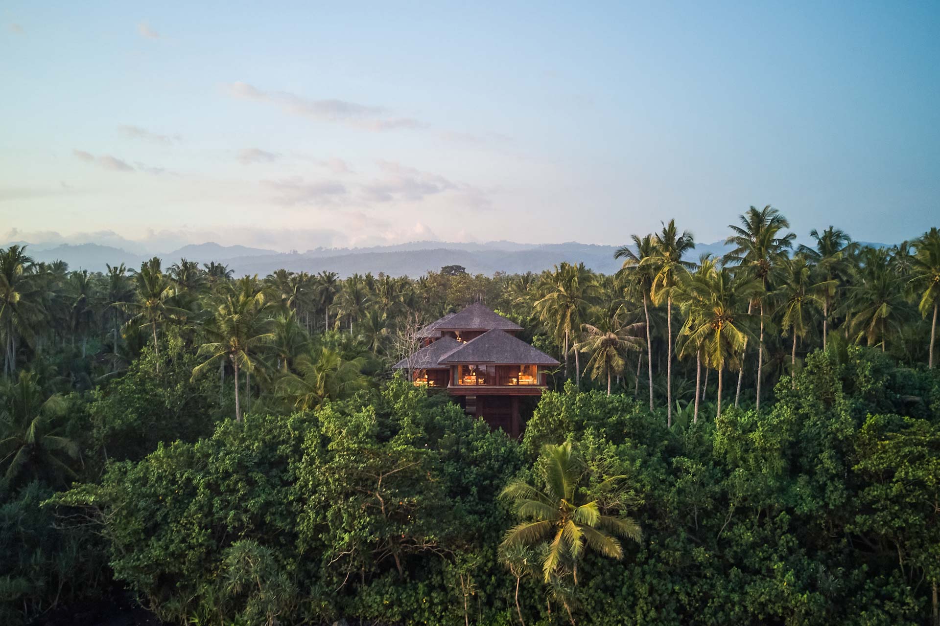 Quels Sont Les Différents Arbres De Bali – REMOEQ