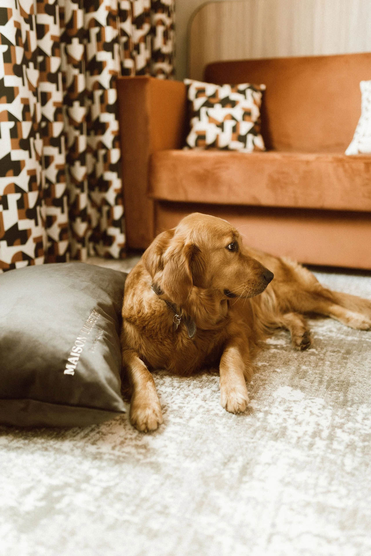 Les meilleurs hôtels dog friendly en France