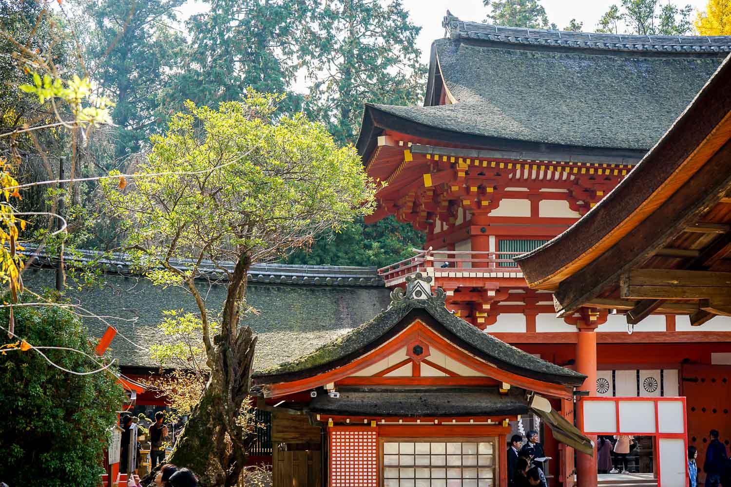 Visiter Nara et sa région, destination incontournable du Japon