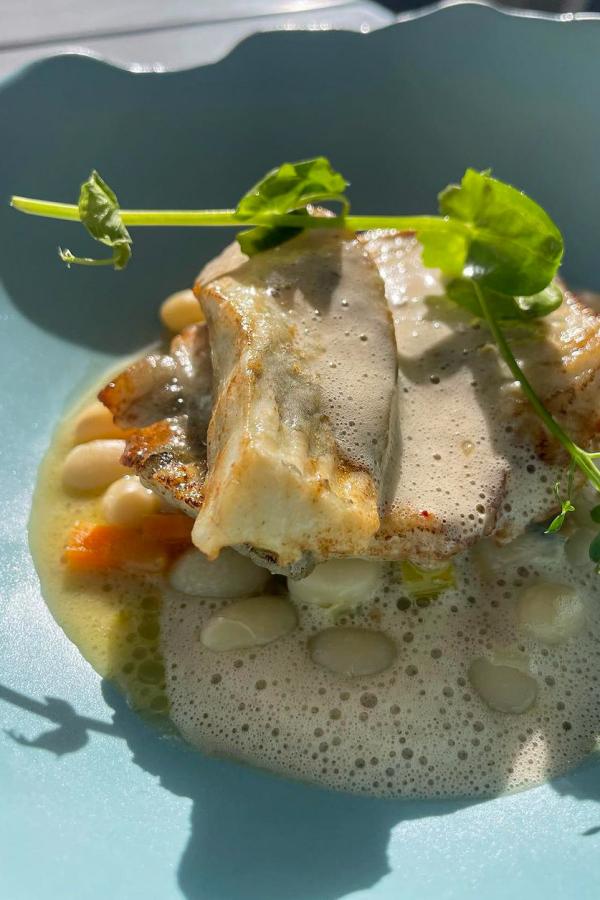 Les meilleurs restaurants d’Avignon : étoilés, gastronomiques, bistrots...